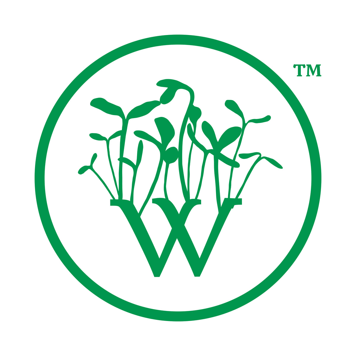 About Our Greens - Wispy Greens
